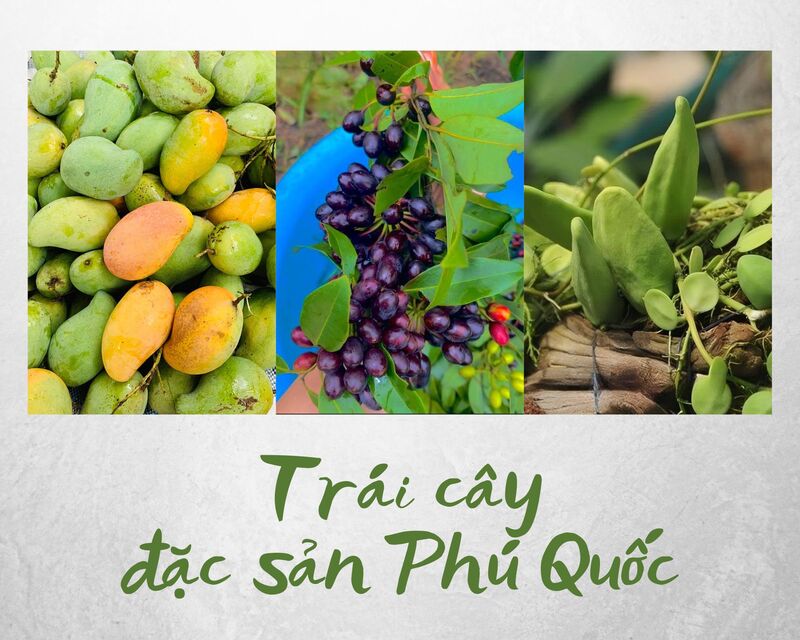 TOP 3 trái cây đặc sản Phú Quốc nổi tiếng nhất định phải thử